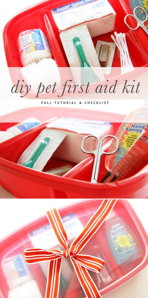 DIY Pet First Aid Kit | | Pet Health & Wellbeing | Pretty Fluffy