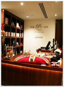 A Tour of Harrods Pet Kingdom | Luxury Pet Products | Pretty Fluffy