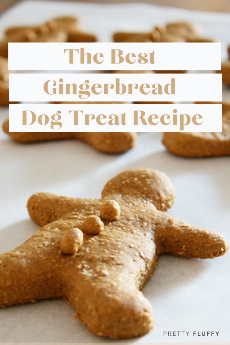 Gingerbread for Dogs: The Best Gingerbread Dog Treat Recipe