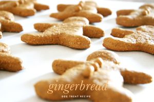 Gingerbread for Dogs: The Best Gingerbread Dog Treat Recipe