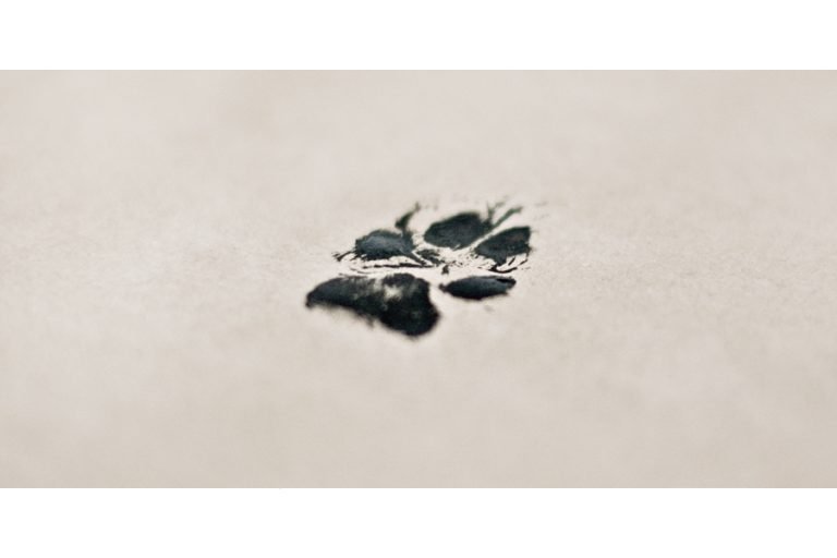 DIY: Paw Print Wall Art