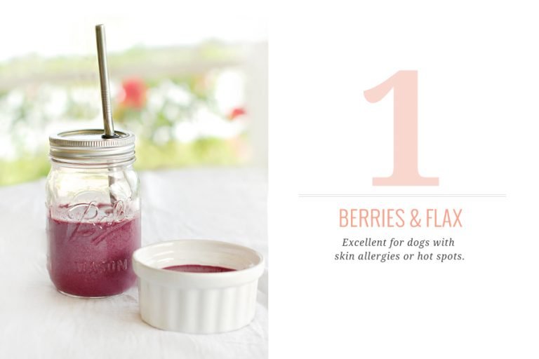 3 Healthy Smoothies You & Your Dog Will Love