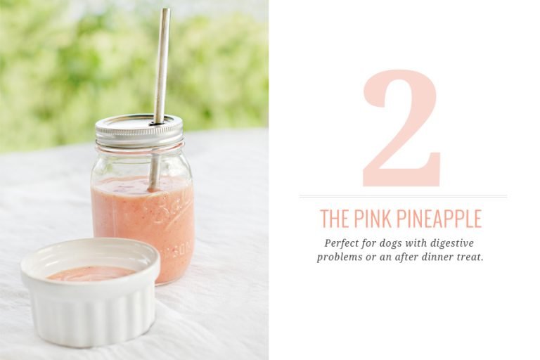 3 Healthy Smoothies You & Your Dog Will Love