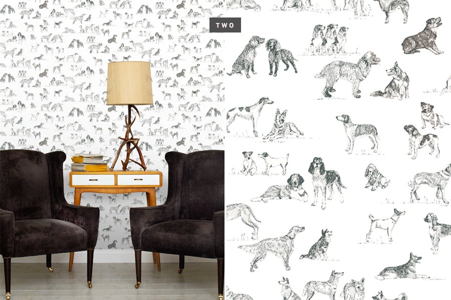 Dog Wallpaper For Walls