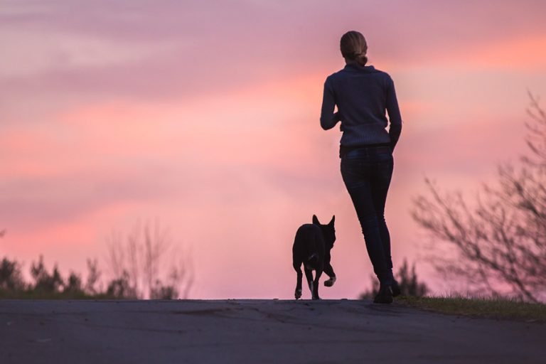 Spring-a-licious! 5 Ideas for Spring Pet Photos | Pretty Fluffy