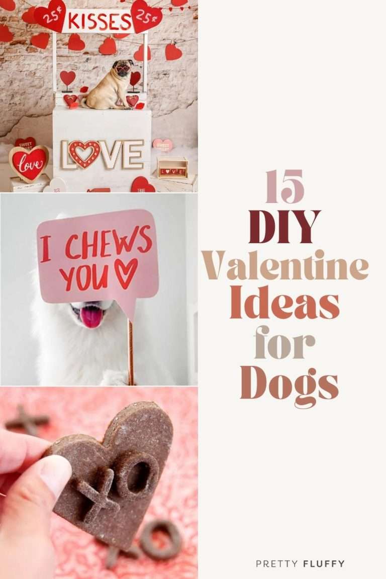 15 Cute Ideas to Celebrate Valentine's Day with Your Dog