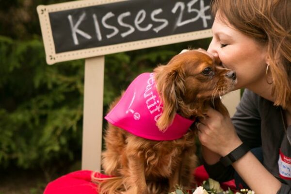 How to Host a Dog Lovers Meetup | Pretty Fluffy: The Ultimate Lifestyle ...