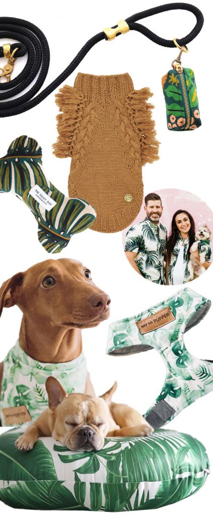 Tropical Dog Trends | Pretty Fluffy: The Ultimate Lifestyle Destination ...