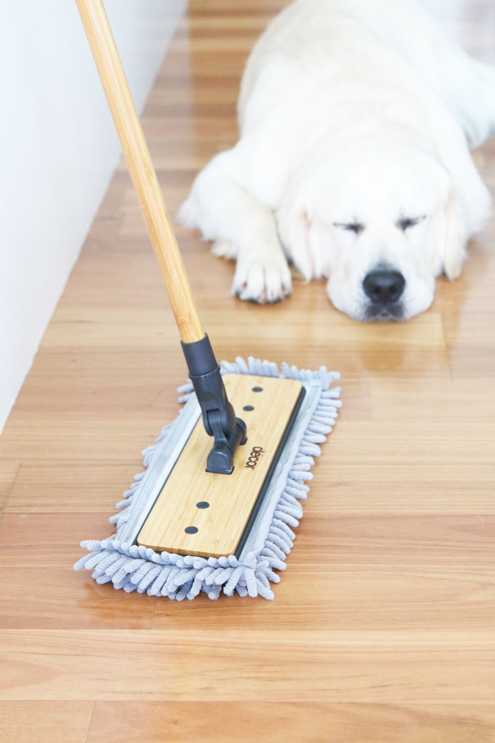 How To Keep A House Clean with Dogs: Your Ultimate Guide