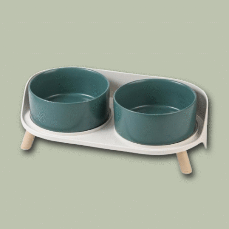 Best Type and Model of Dog Bowls (2026)
