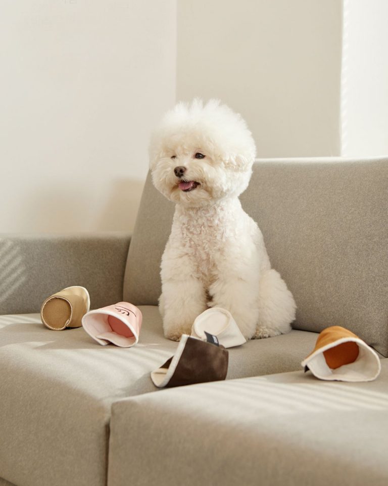 14 of the Best Designer Dog Toys To Suit Neutral Home Decor