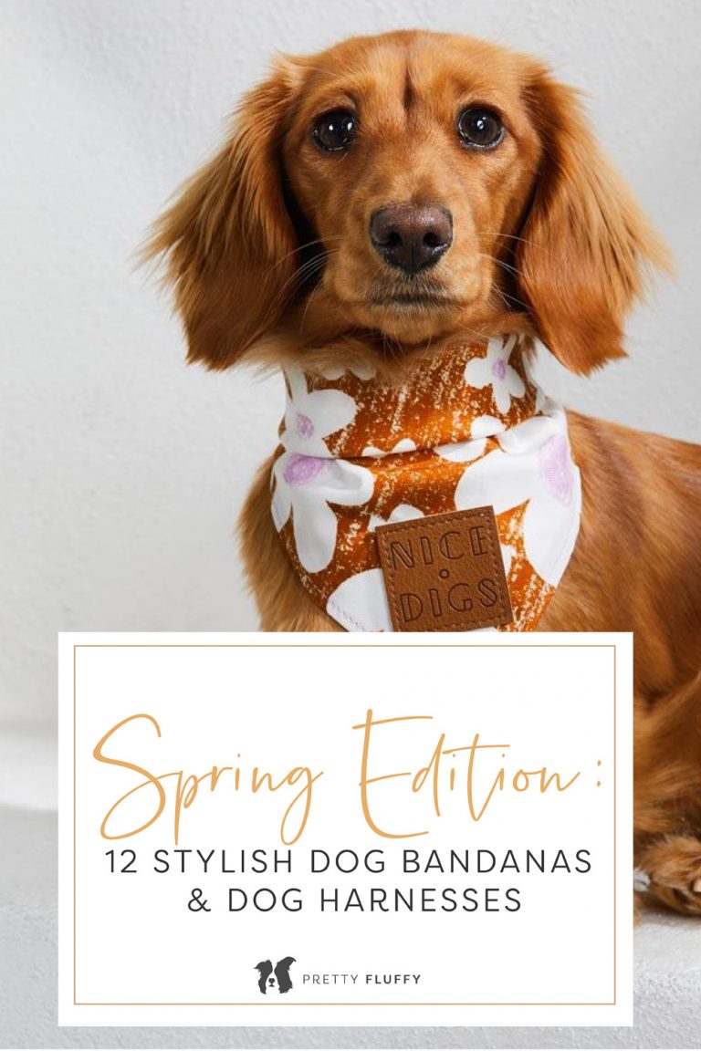 Spring Edition: 12 Fun & Floral Dog Harnesses & Bandanas | Pretty Fluffy
