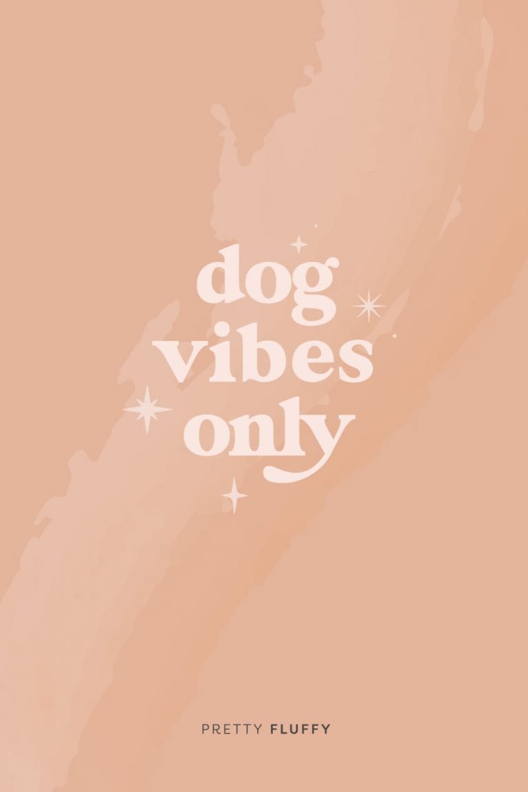 'Dog Vibes Only' Free Dog Quote Wallpaper | Pretty Fluffy
