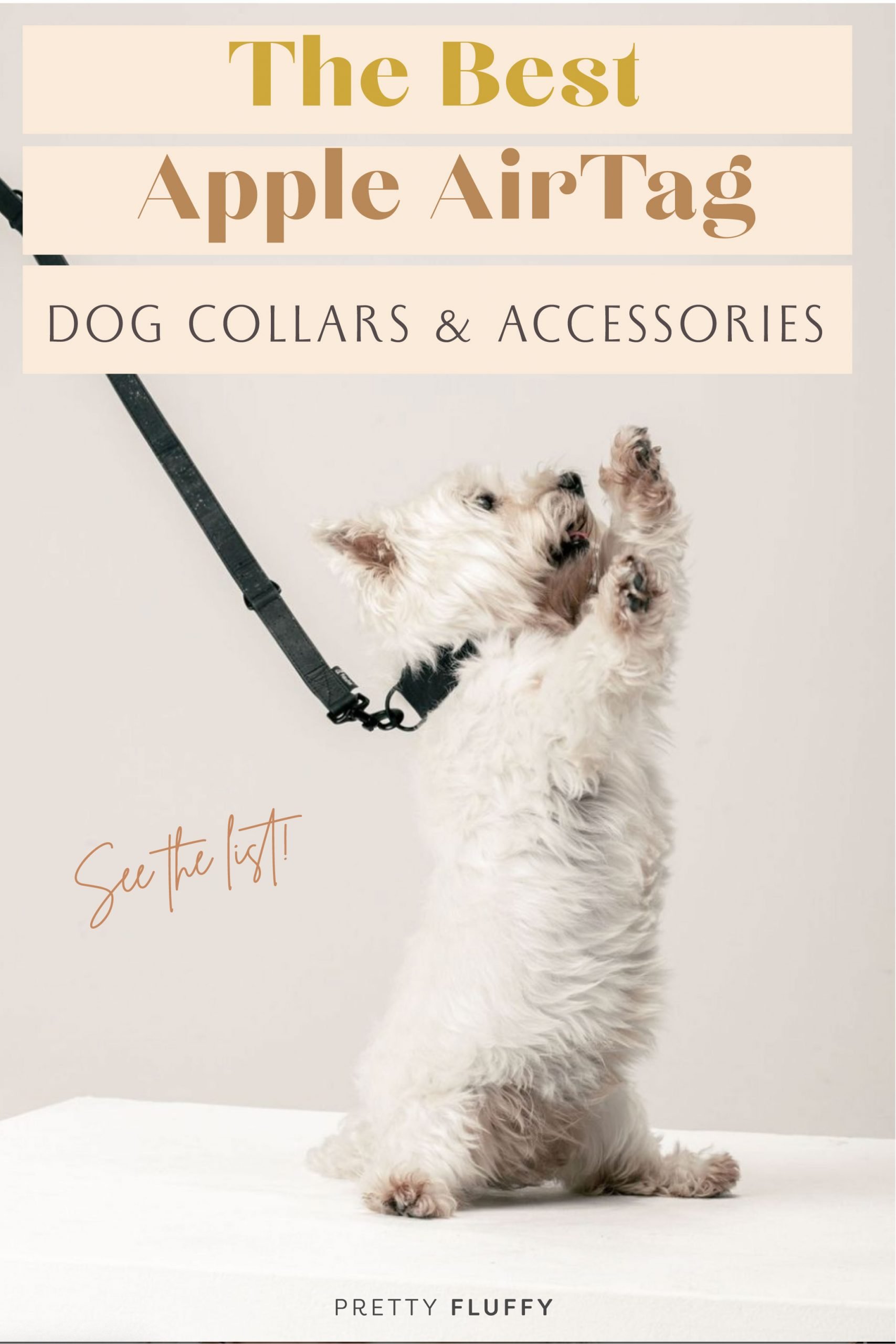 8 Stylish Apple AirTag Dog Collars & Accessories (2026)