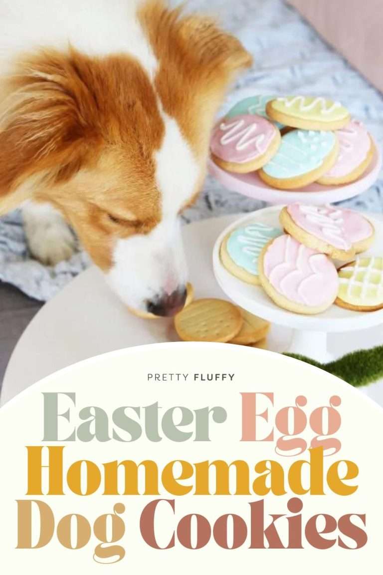 Dog Treats for Easter: Easter Egg Homemade Dog Cookies