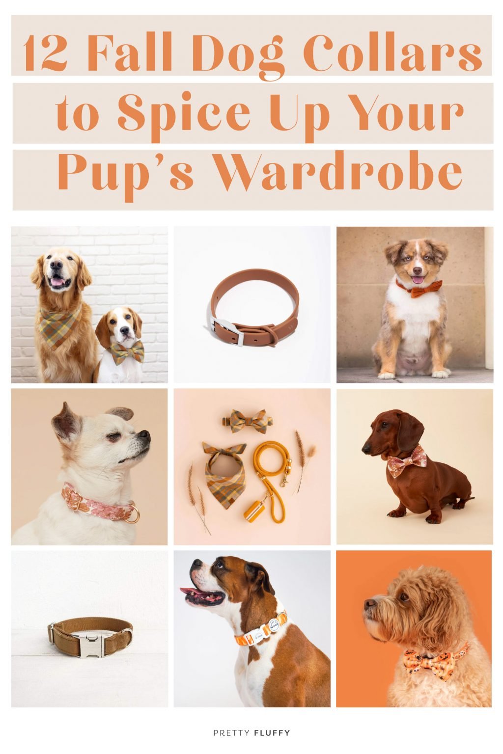 12 Fall Dog Collars to Spice up Your Pup's Wardrobe (2026)