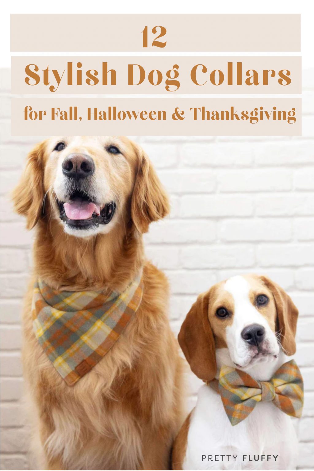 12 Fall Dog Collars to Spice up Your Pup's Wardrobe (2026)