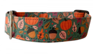 12 Fall Dog Collars to Spice up Your Pup's Wardrobe (2026)