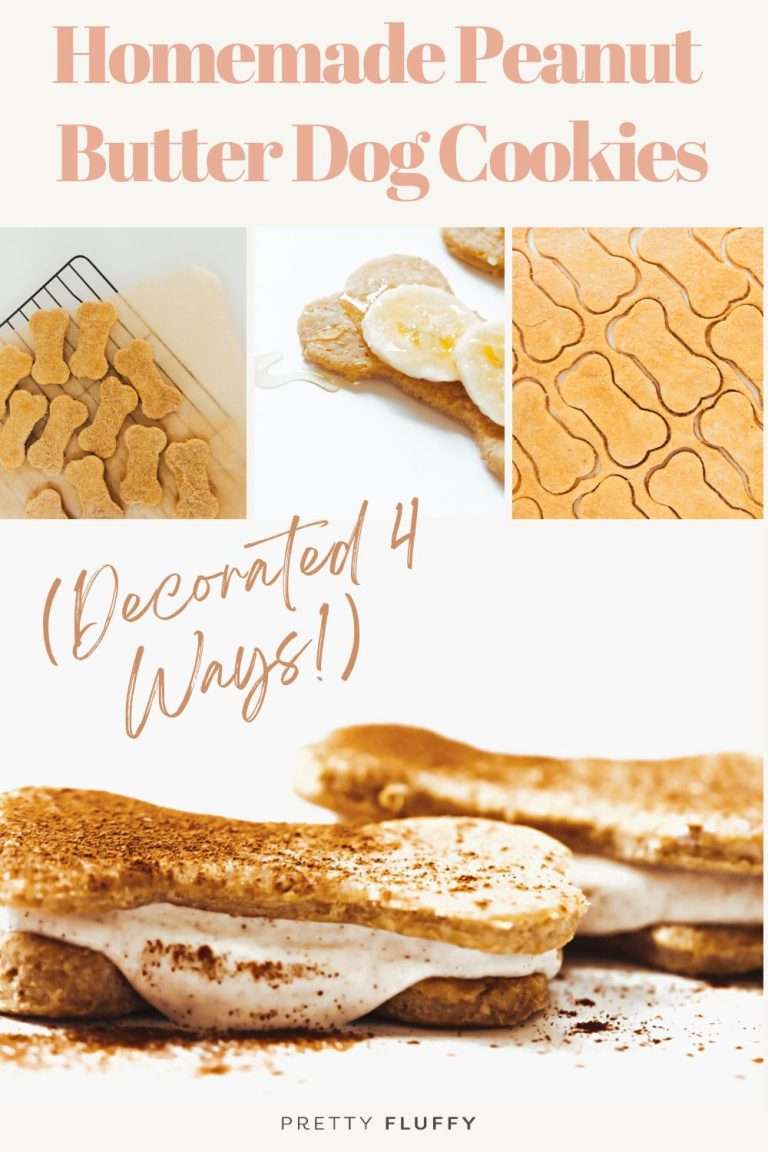 Easy Peanut Butter Dog Cookies Recipe (Done 4 Ways!)