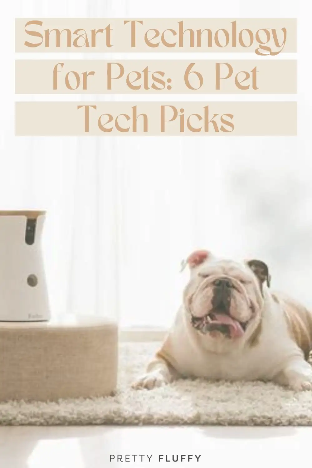Smart Technology for Pets: 6 Pet Tech Picks 2024