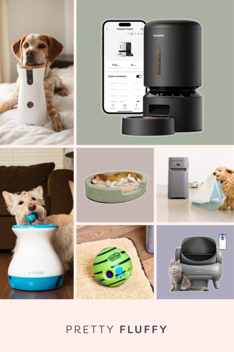 Smart Technology for Pets: 7 Pet Tech Products Your Dog Needs