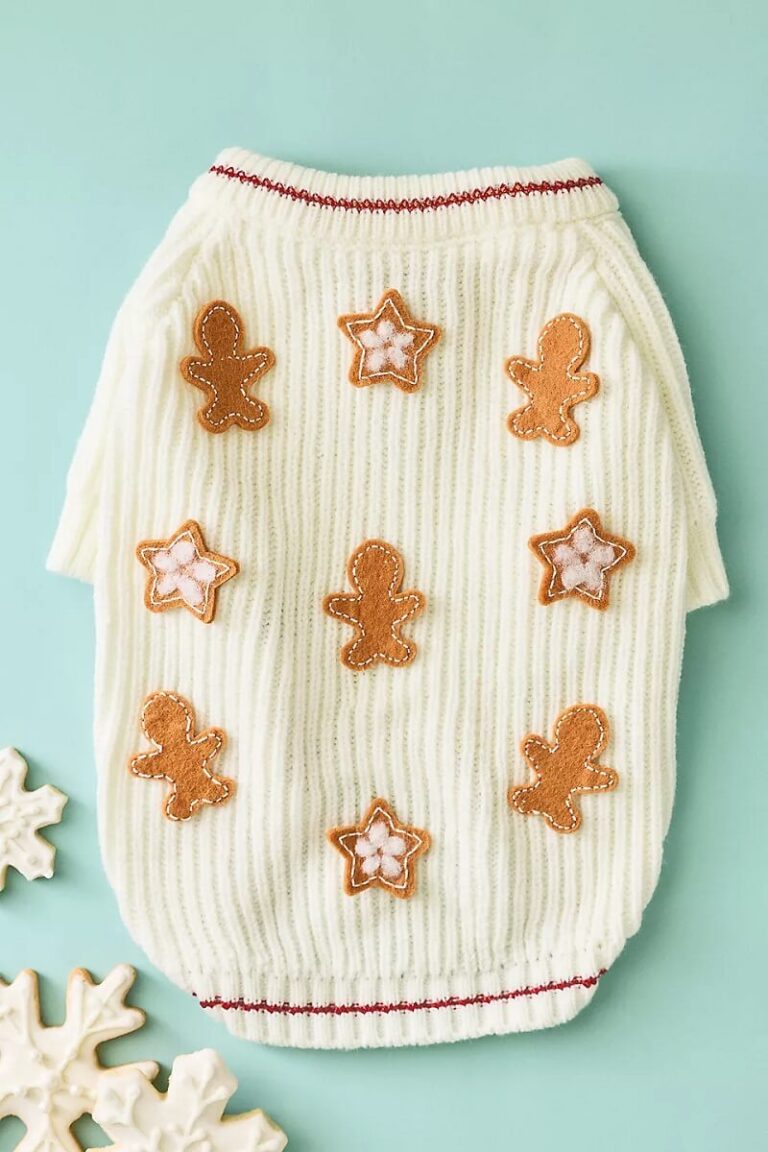 23 Christmas Gift Ideas for Dogs With Good Taste(2026)