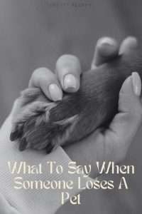 Pet Loss Condolences: What to Say When Someone Loses A Pet