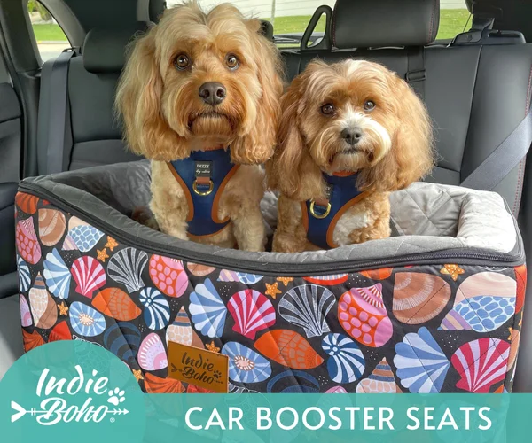 Celebrity Pets: Peter Alexander & Penny